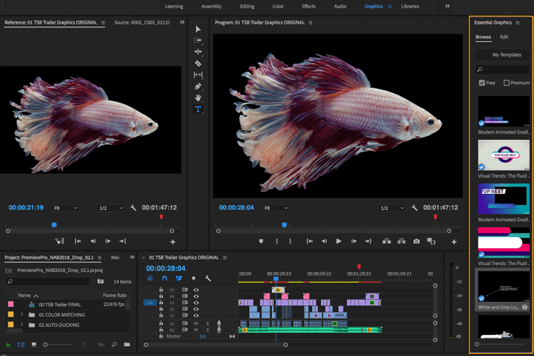 8 Motion Graphics Software & Tools for Amateurs