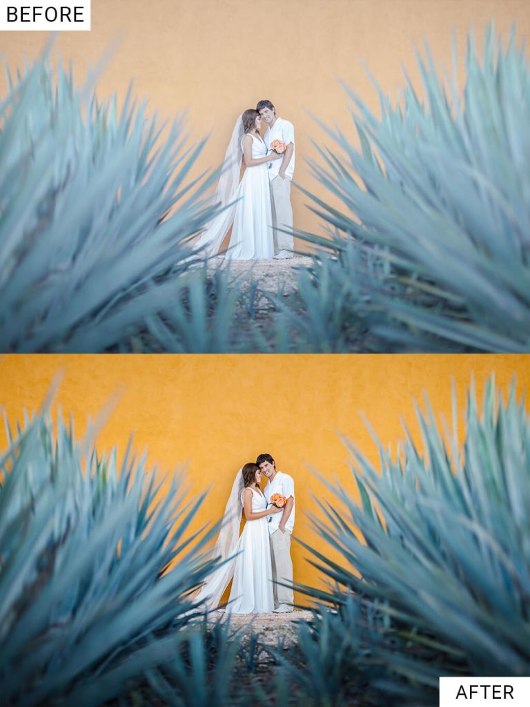 Outsource photography editing | Professional Photo Editing Service