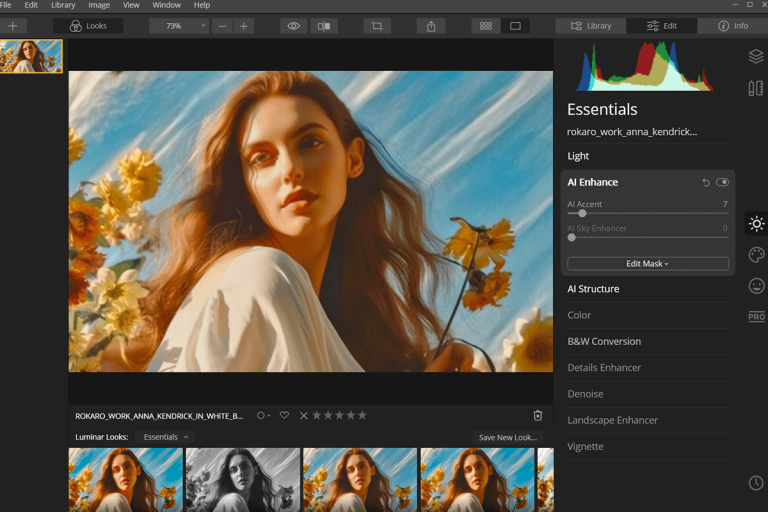 8 Best Auto Photo Enhancer Software of 2025