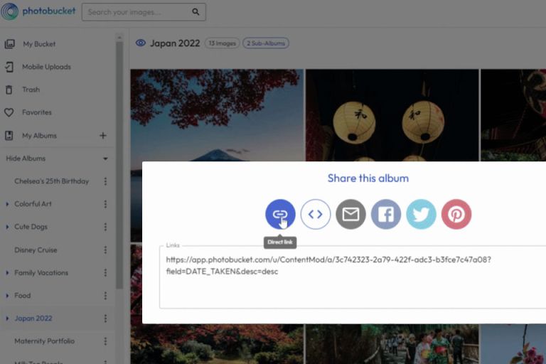 8 Best Photo Sharing Websites for Photographers in 2025