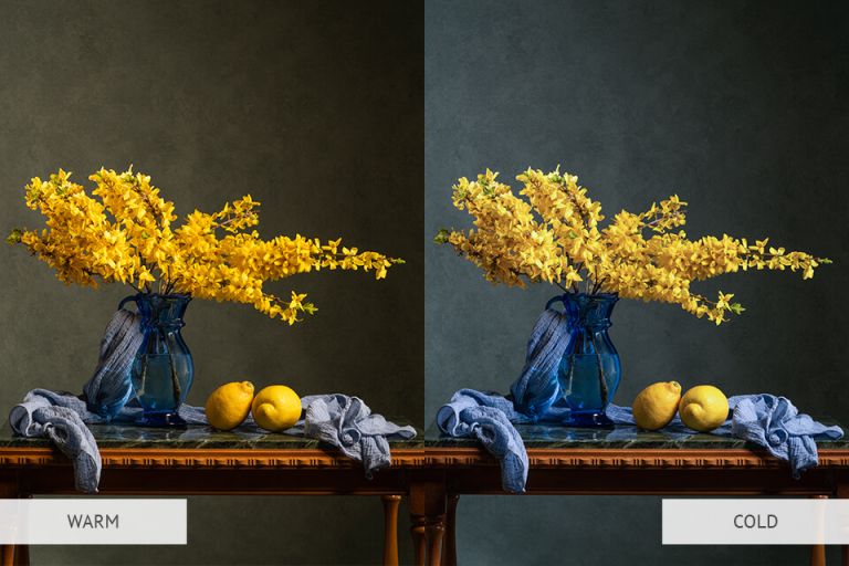 Lighting for Still Life Photography: Tips & Techniques